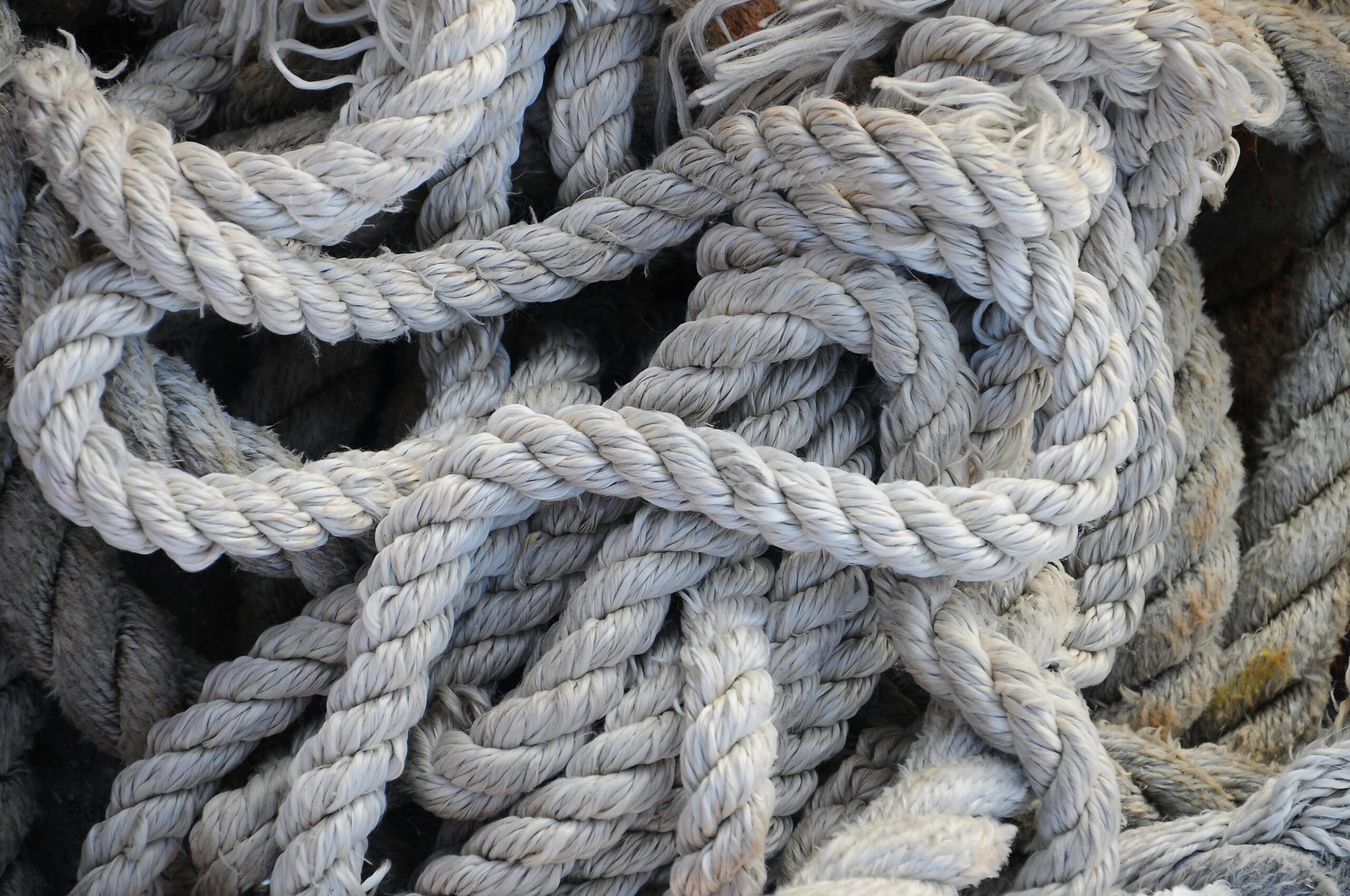 The Fine Line Between Dependability and People-Pleasing at Work | Hogan ...